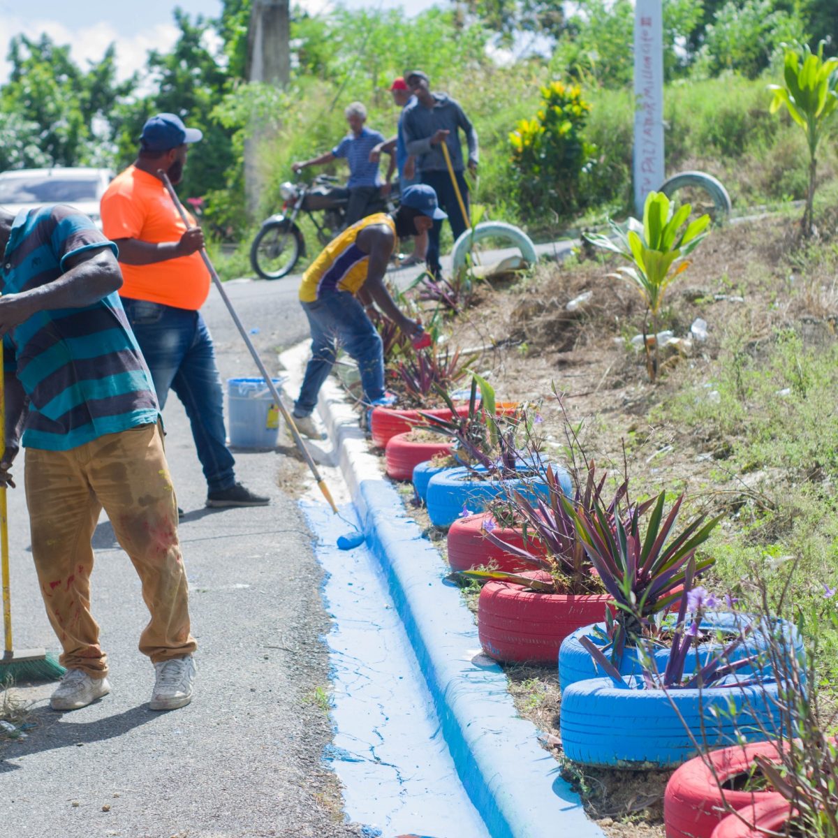 ASDN inicia Plan de Embellecimiento de Espacios y eliminación de ...