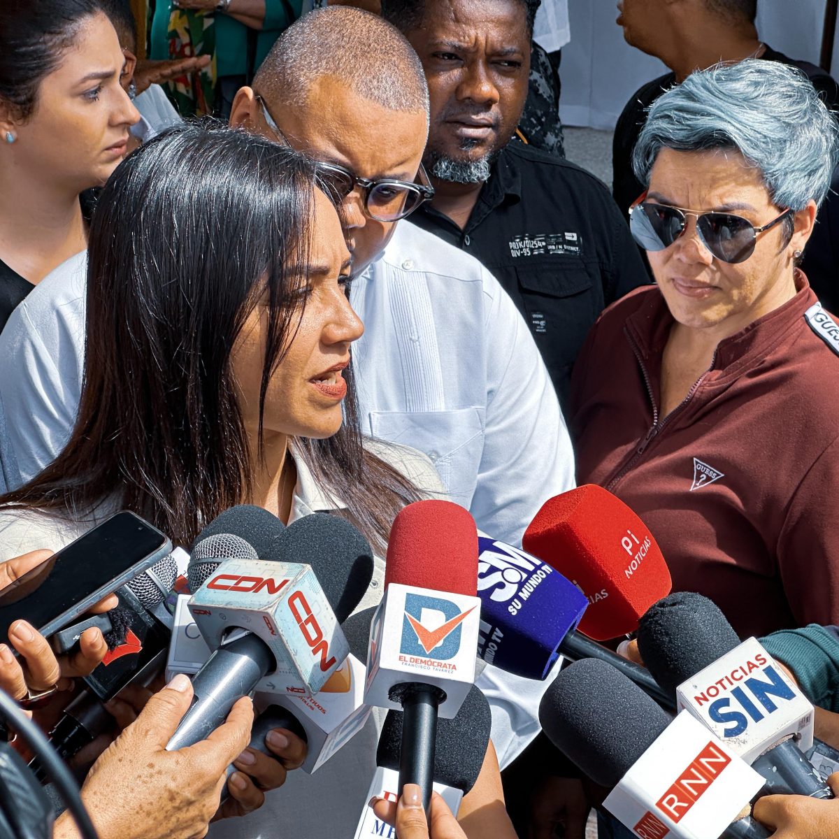 Faride afirma Haití es quien debe investigar ataque a un avión en su ...