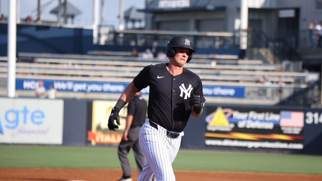 T.J. Rumfield y José Rojas, los nuevos refuerzos de los Toros del Este ...