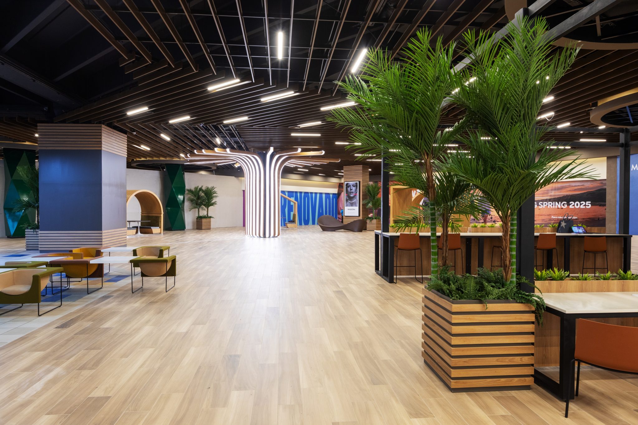 Megacentro inaugura su nueva zona comercial: un espacio exclusivo para ...