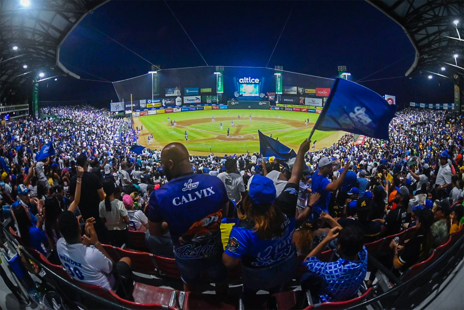 Licey no tiene reingreso al estadio, confirma Parmenio Rodríguez – El ...