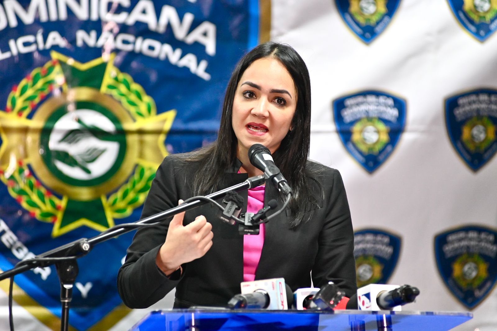 (VIDEO) Faride Raful lamenta sean los jóvenes que estén delinquiendo ...