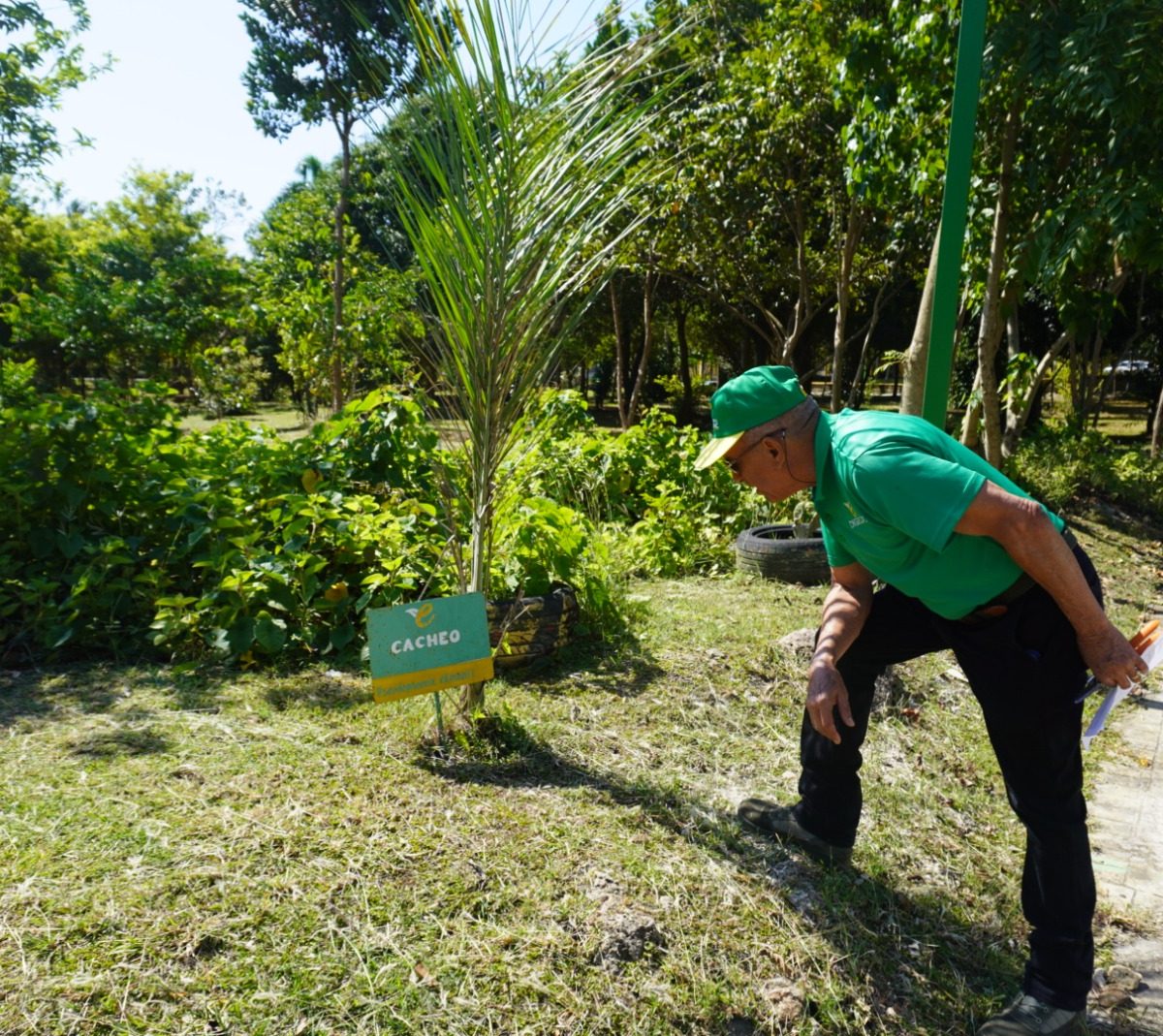 Digecac apuesta por producción de plantas endémicas para embellecer las ...