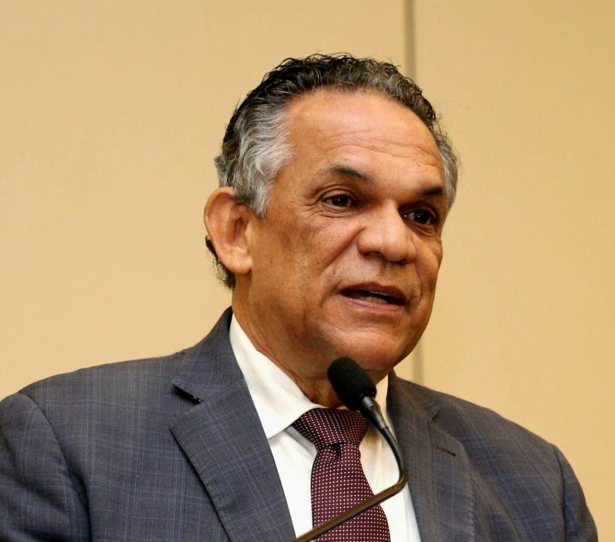 Ramón Ventura Camejo asegura congreso del PLD marcó ruta para regreso ...