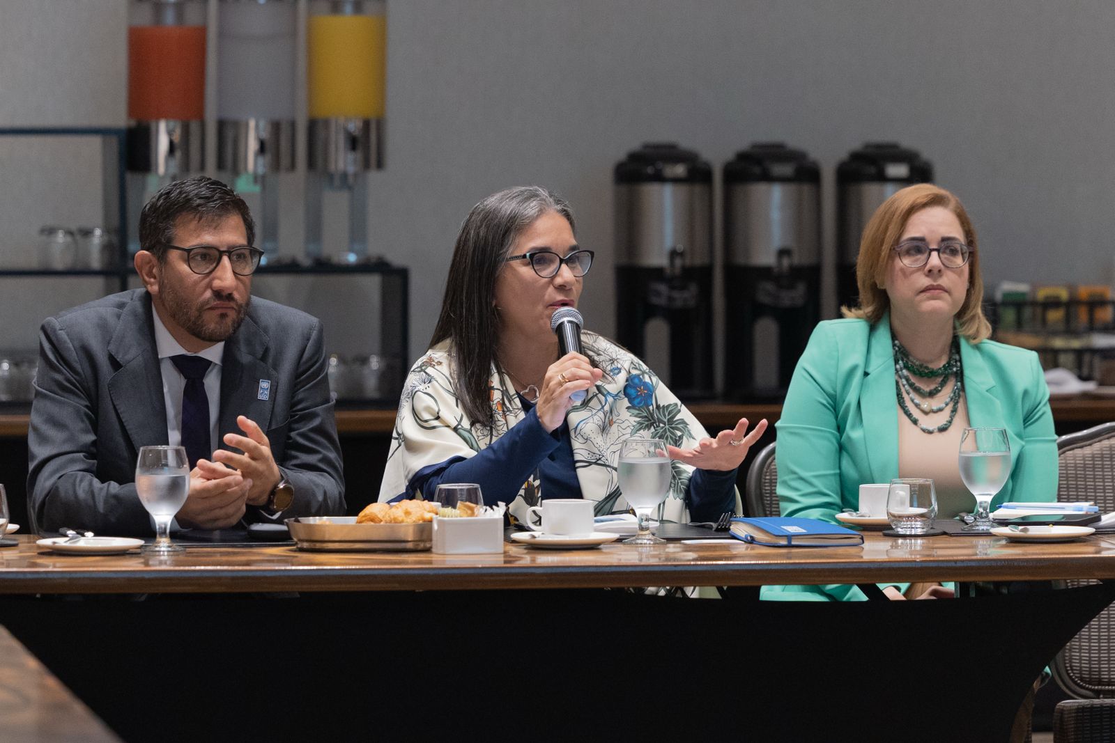 Meta RD 2036 y PNUD impulsan diálogo de alto nivel sobre desarrollo ...