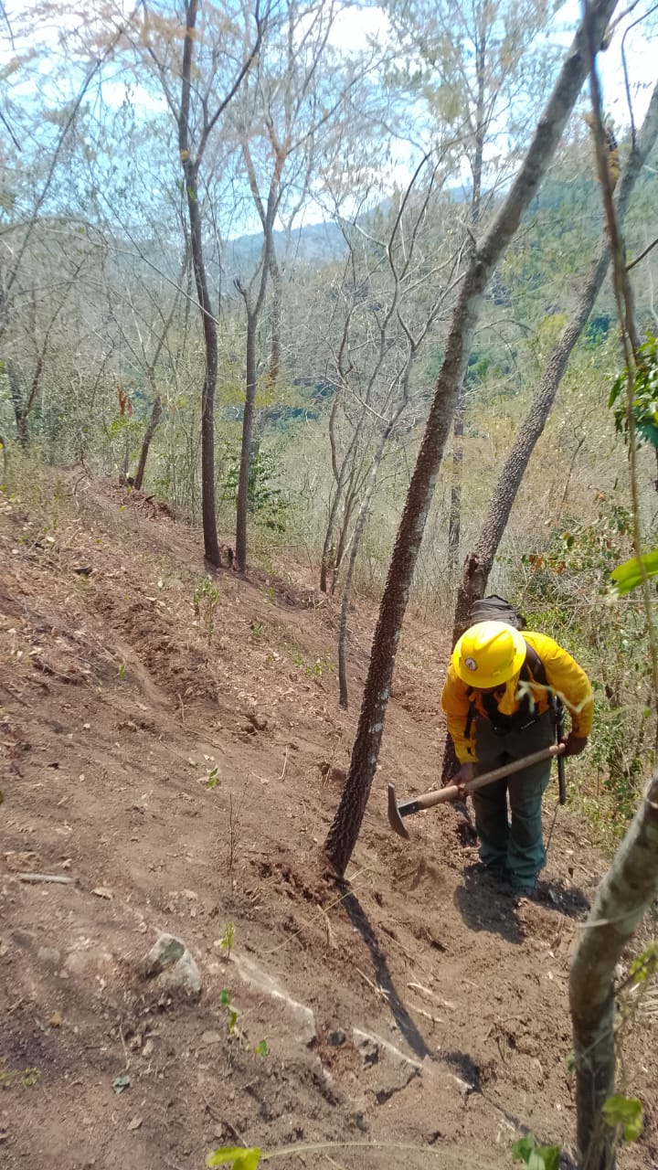 Ministerio de Medio Ambiente combate incendios forestales en Jánico y Barahona – El Nuevo Diario ...