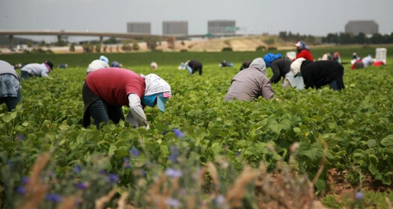 Según datos del Censo USA más de 1,2 millones inmigrantes han dejado la ...